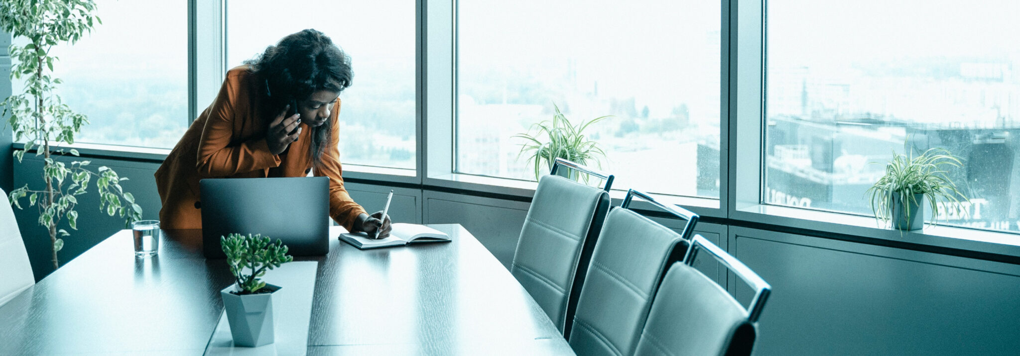 Directorship Checks | Certn