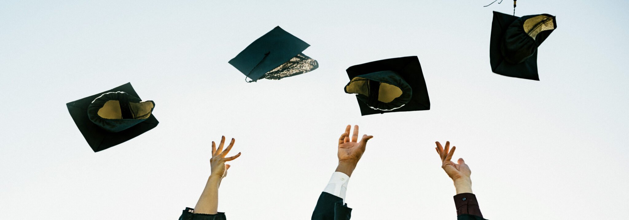 Credential Verification | Certn