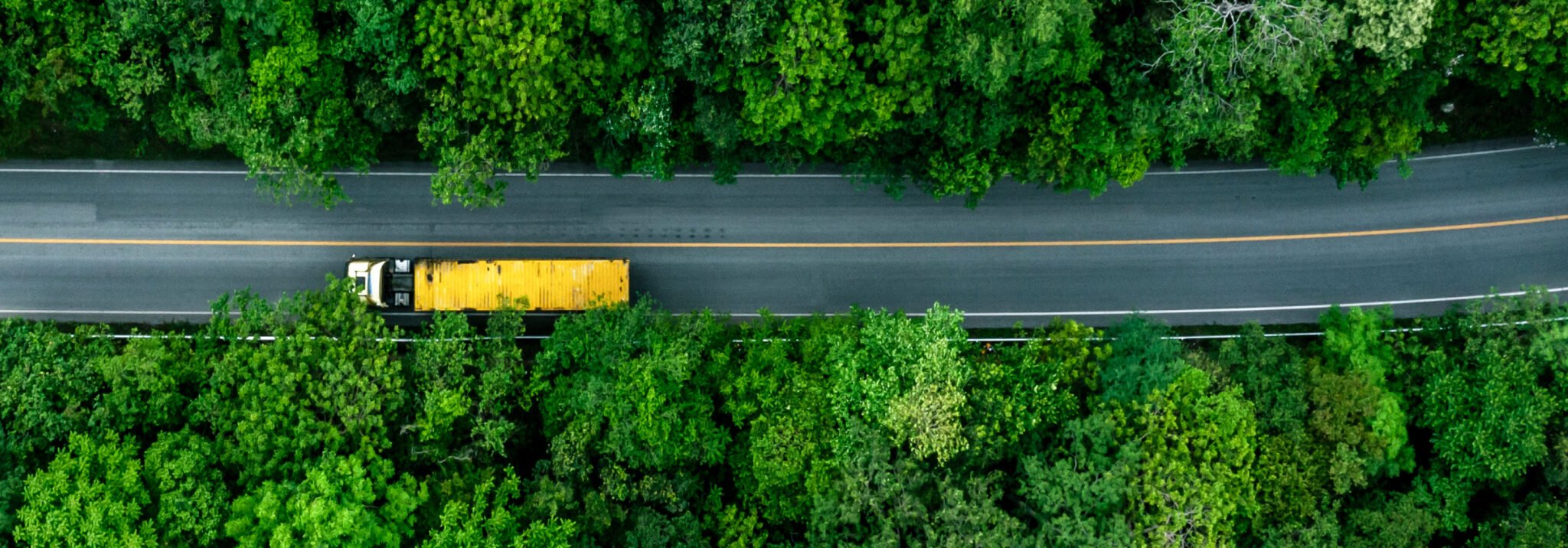 Driver’s Abstract & Driving Record Checks in Canada | Certn